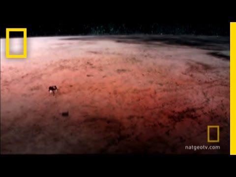 Imagining Pluto | National Geographic