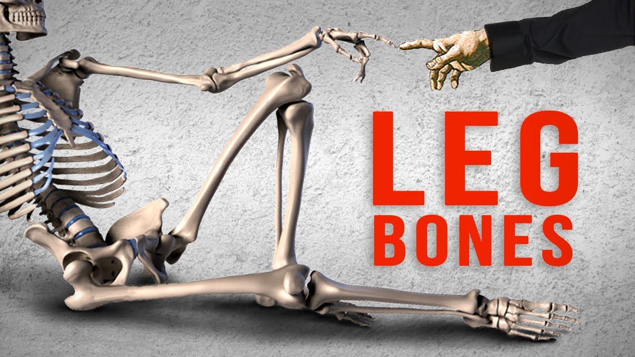 How to Draw Legs - Bone Anatomy for Artists