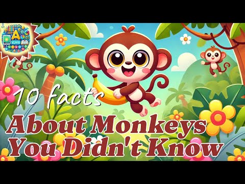 The 10 Most Amazing Facts About monkeys | Interesting Facts | Animal and insect facts 2024