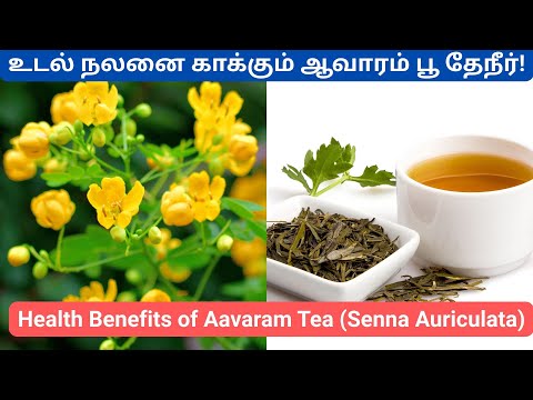 உடல் நலனை காக்கும் ஆவாரம் பூ தேநீர் !! Health Benefits of Aavaram Tea (Senna Auriculata Tea)!!!