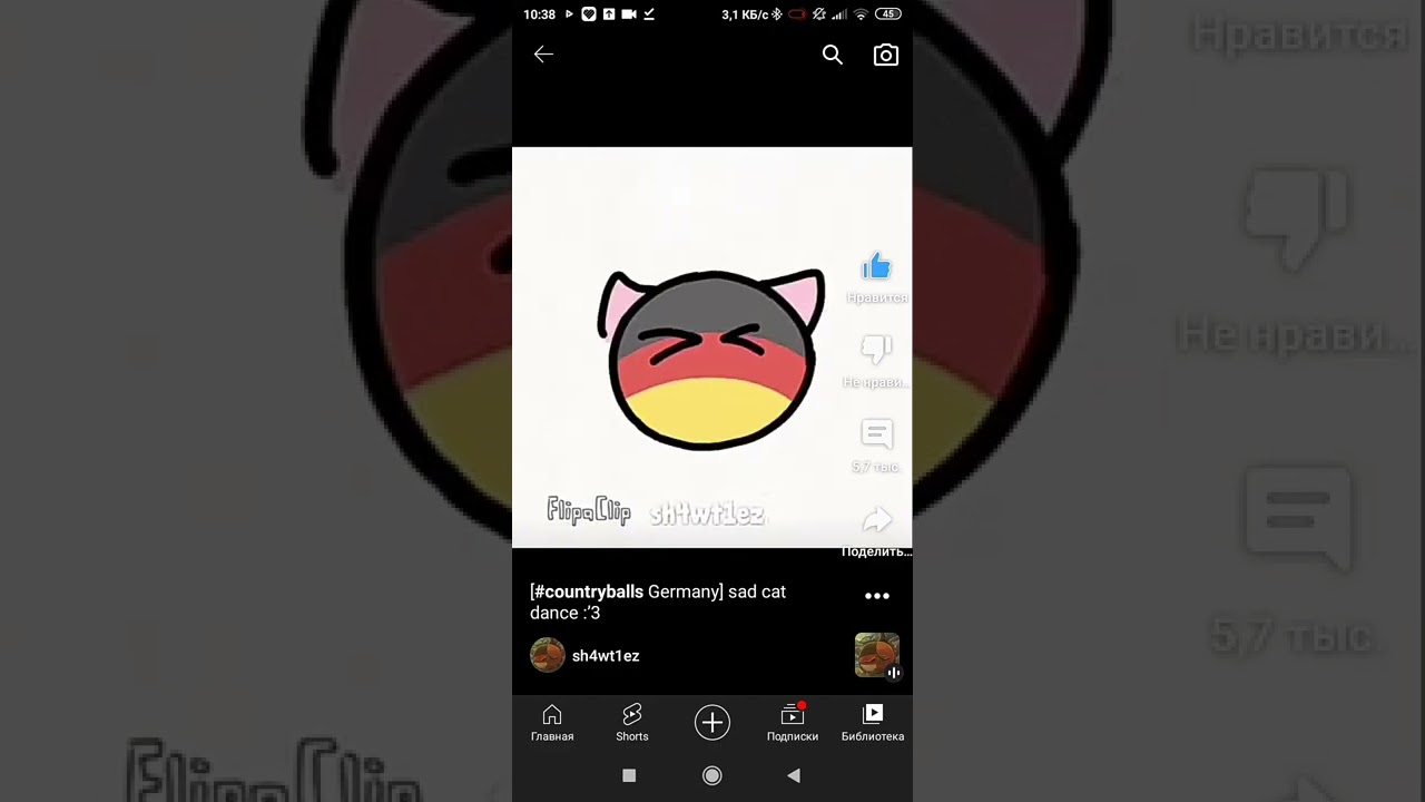 #countryballs sad cat dance animation @sh4wt1ez meme