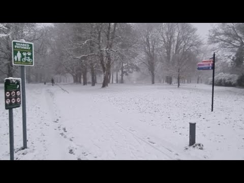 WALK & TALK #2 | FANTASTIC NEWS | SNOW, FARMDOG & CASSIOBURY PARK.