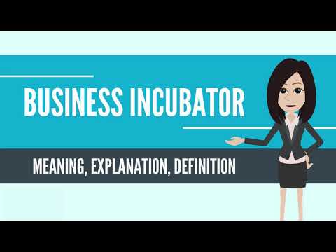 What Is BUSINESS INCUBATOR? BUSINESS INCUBATOR Definition & Meaning