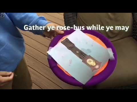 bowfly poem vid but it doesnt really make the meaning strikingly clear but i sure had fun making it