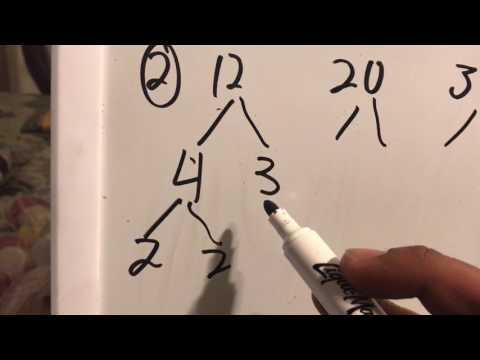GCF 12,20,32