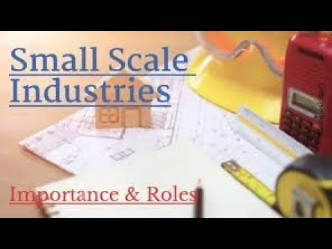 Importance of Small Scale Industries|| Urdu/Hindi