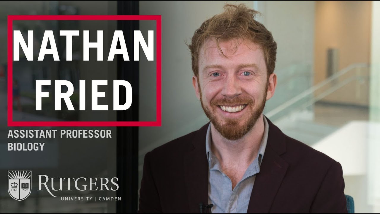 Learning Beyond Lectures