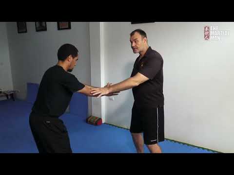 One Inch Punch - Part 1 | Intrinsic Energies of Internal Martial Arts