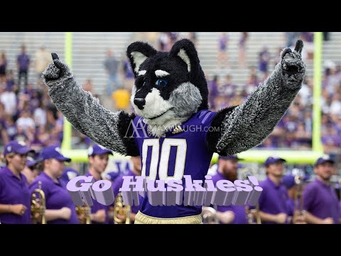 Funko Pop! Mascot Monday Episode 3 - Washington State University Harry The Husky