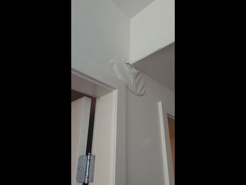 #shorts Cat 3 water loss from a clogged toilet