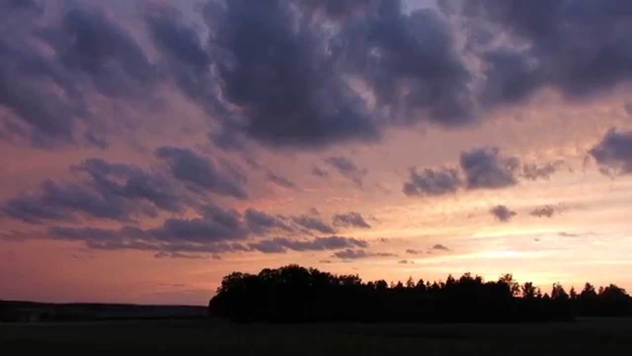 Dohlenschwarm - flock of Jackdaws