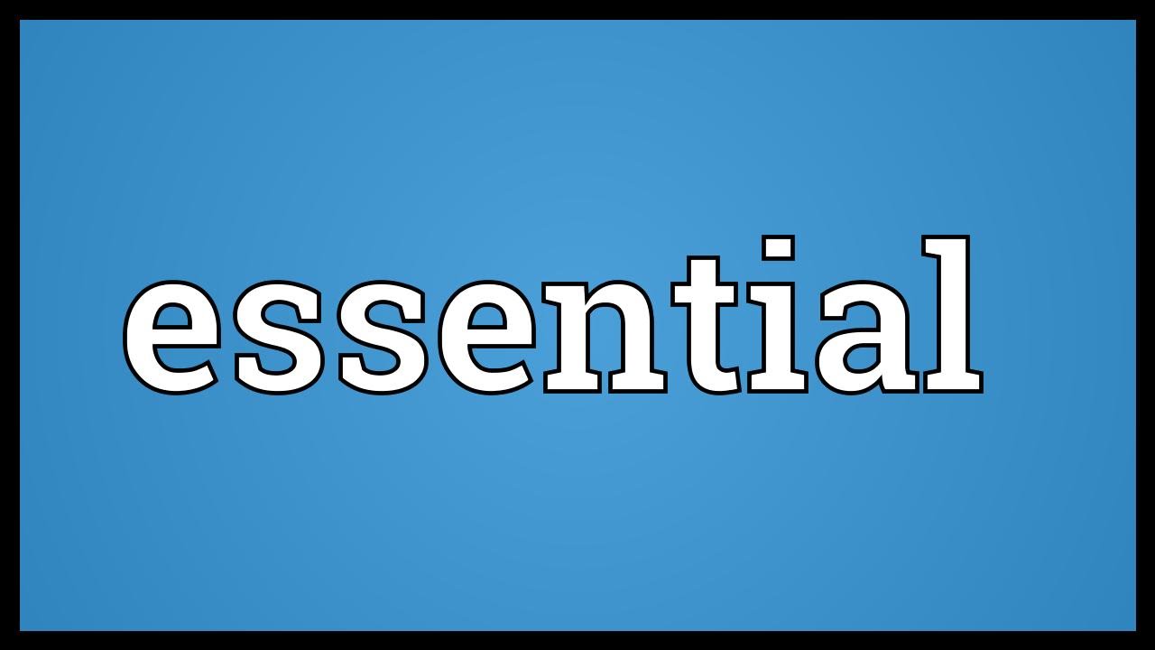 Essential Meaning