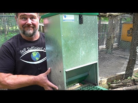 Feed-O-Matic Chicken Feeder Review