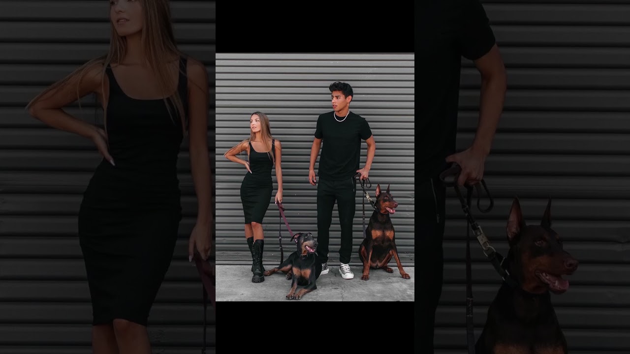 Lexi Rivera & Andrew Davila | doberman photoshoot | yourfriendandre