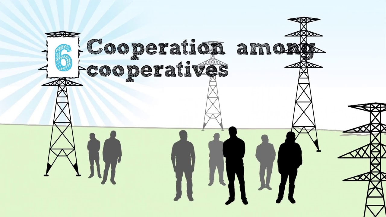 NRECA Cooperative Business Model: 7 Cooperative Principles