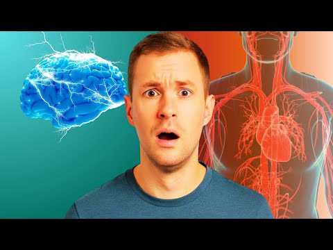 Por qué siento esto? Hormonas neurotransmisores y emociones | Vimes Life