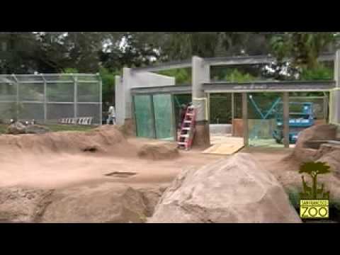 Grizzly Gulch Construction