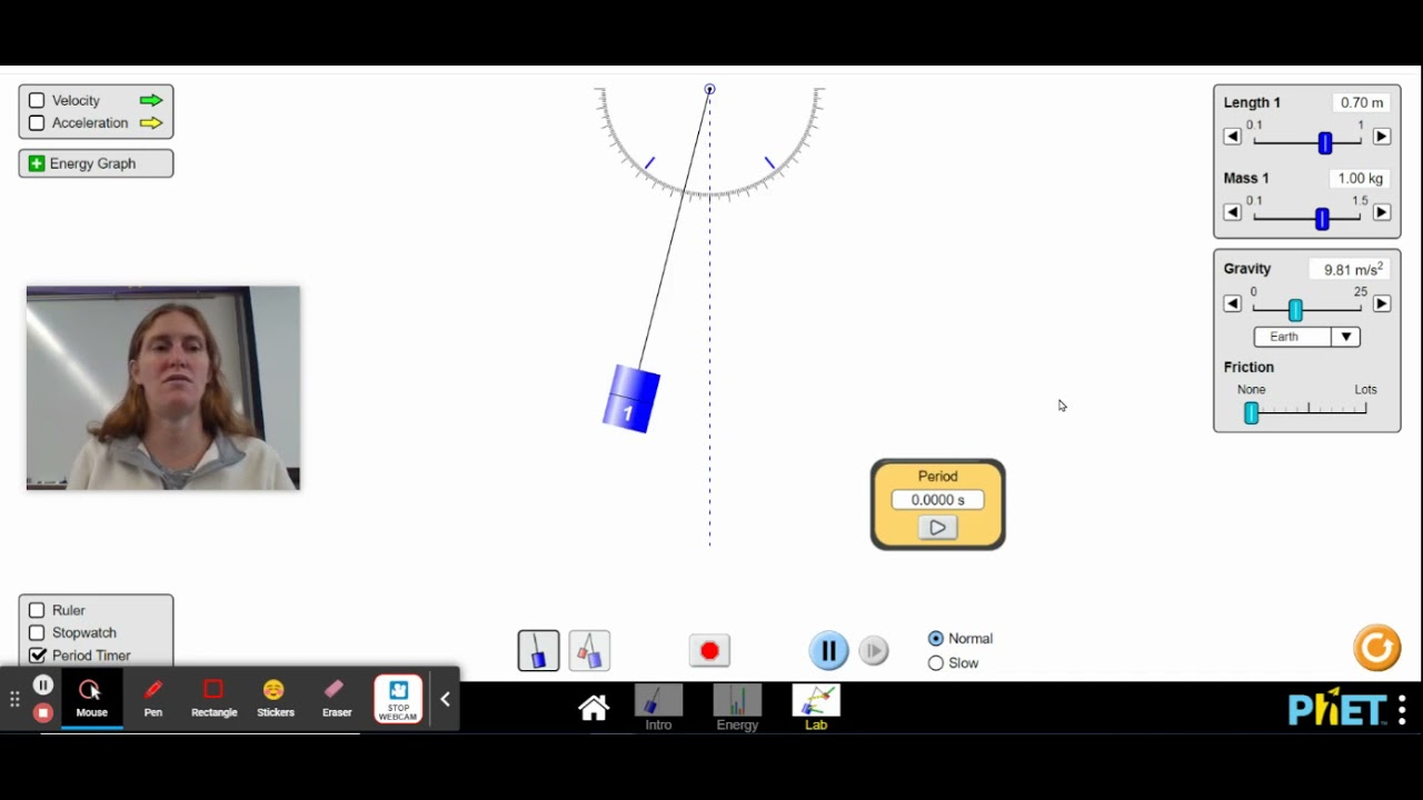Pendulum PhET Lab Instructions