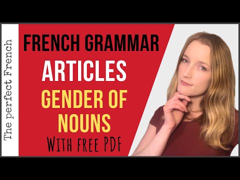 French articles and gender of nouns - French basics for beginners (with free PDF)
