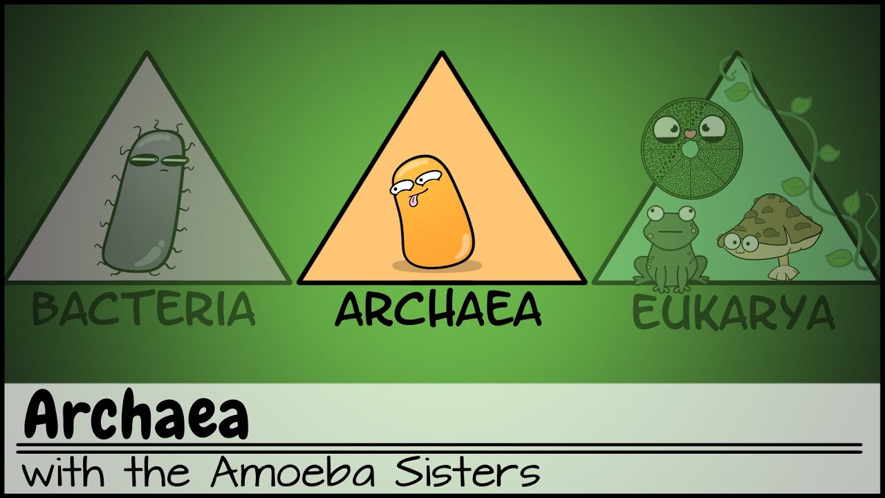 Archaea