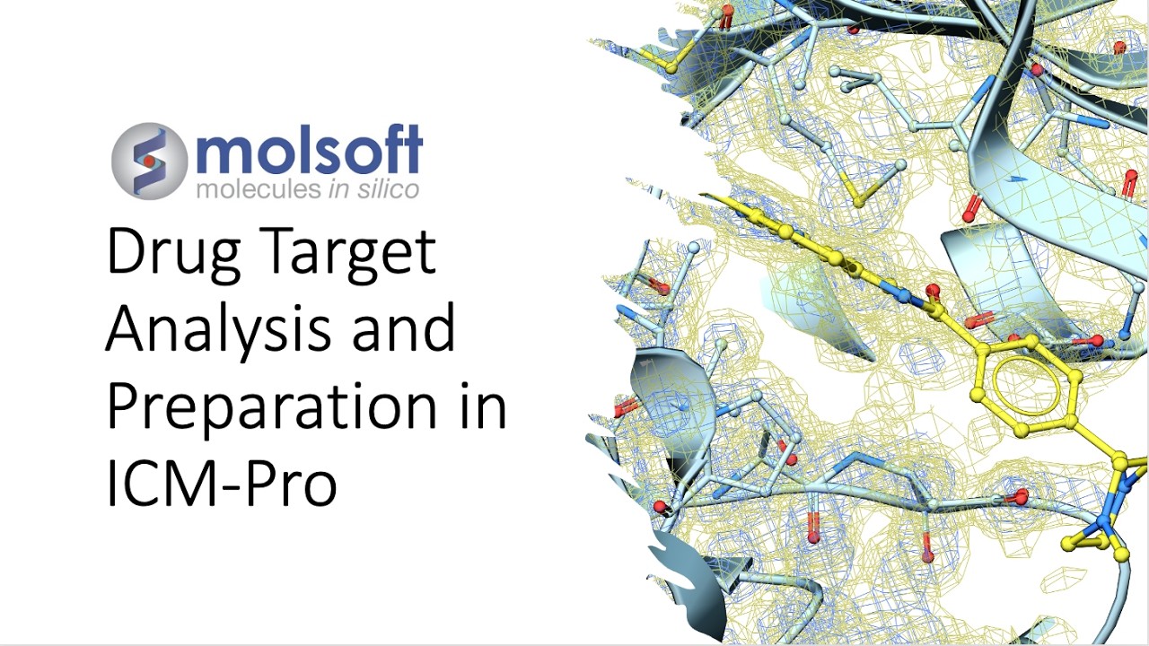 Drug Target Analysis and Preparation in ICM-Pro