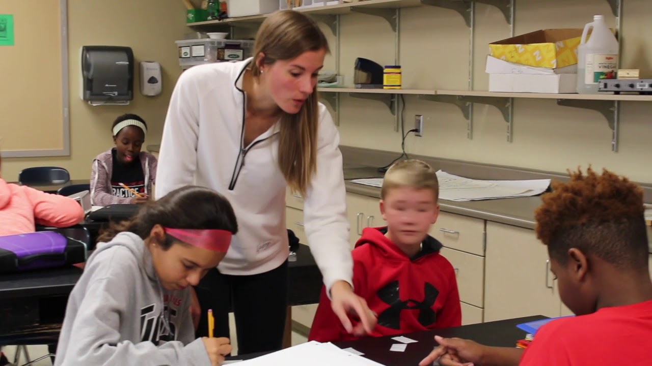 Pineappling - Using Pineapple Charts for Professional Learning