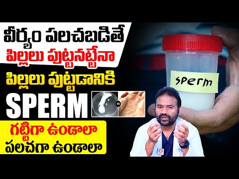 పిల్లలు పుట్టాలంటే స్పెర్మ్ కౌంట్ ఎంత ఉండాలి ? Semen Analysis Test In Telugu | Infertility