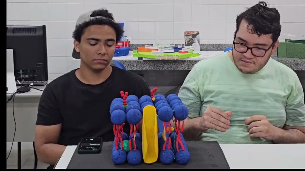 Maquete Mebrana Plasmática - Citologia - UNIVASF