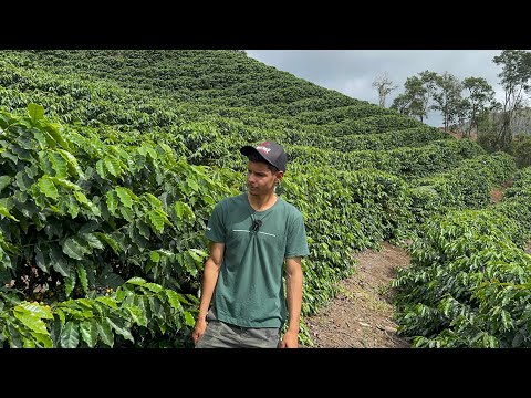 CAFÉ PARAÍSO GOSTEI MUITO dessa VARIEDADE