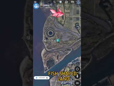 Big Fish-shaped Land Formation found on Google Earth #Shorts #Fishshaped #GoogleEarth #Formation