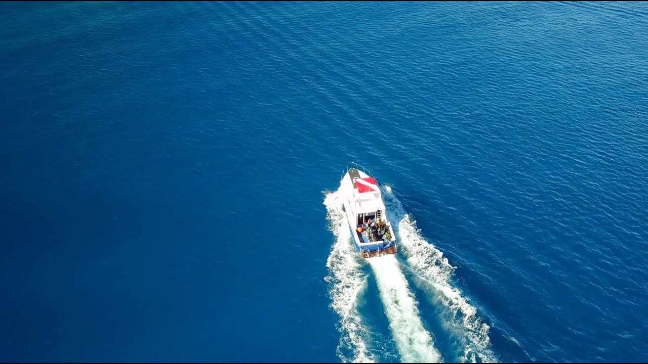 Pro Dive Mauritius Trailer 2019