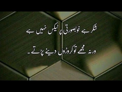 Amazing Feeling Funny But True Facts Quotes#urduquotes #amazing