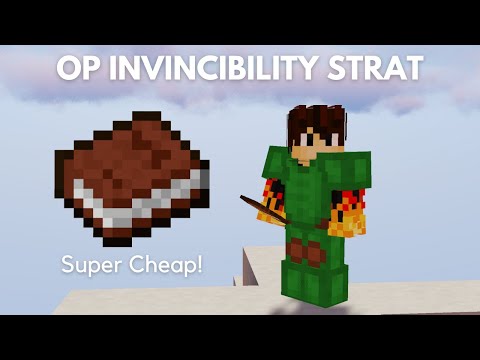 This Book Makes You INVINCIBLE (Hypixel Skyblock)