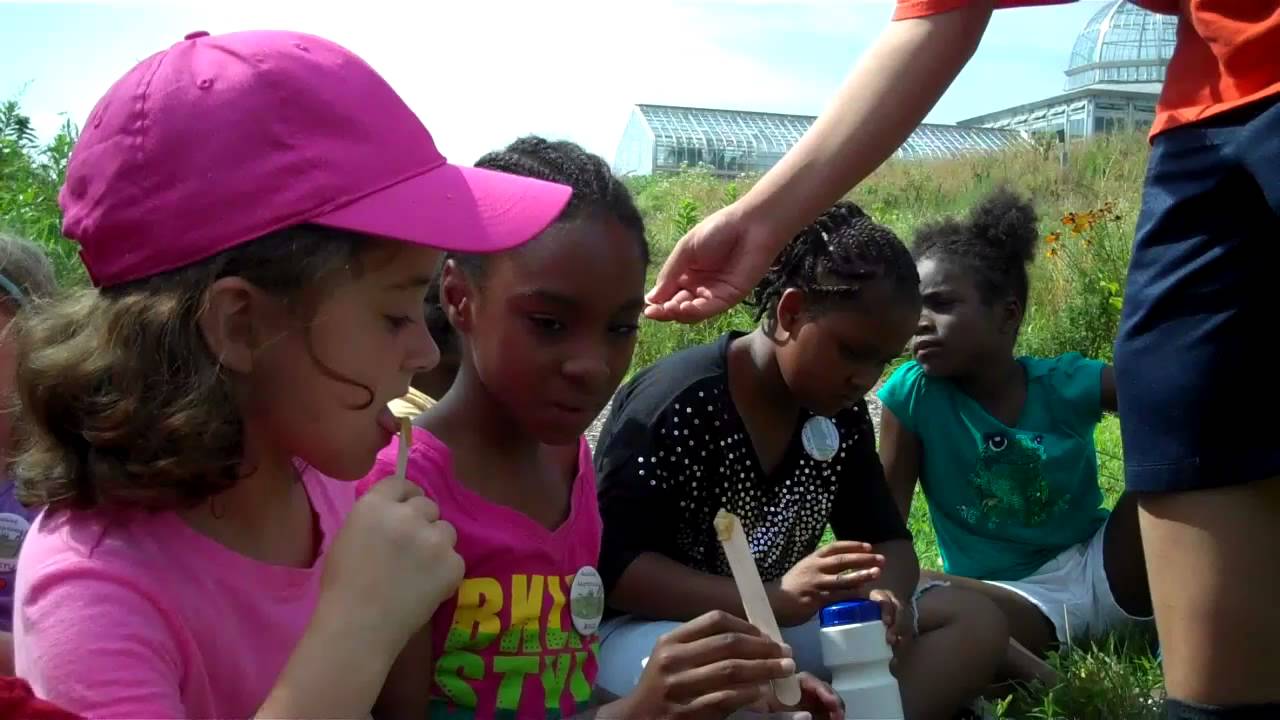 Green Adventures Summer Camp: Learning About Bees
