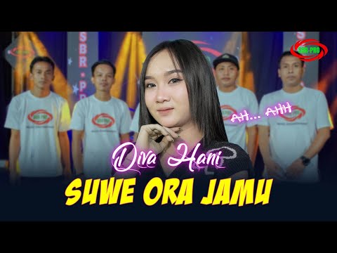 DIVA HANI - SUWE ORA JAMU( Official Live Music )