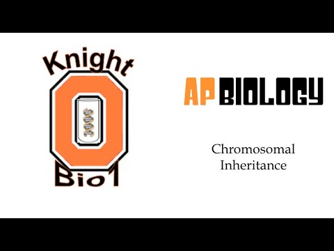 Topic 5.6 - Chromosomal Inheritance