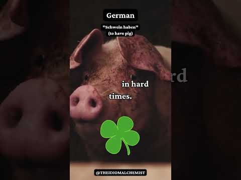 🐷 German Idioms Explained | Unveiling "Schwein haben" | For Luck and Good Fortune 🍀✨
