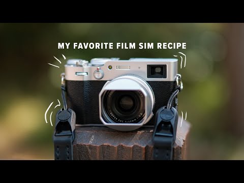 Fujifilm X-Trans IV Film Simulation Recipe: Reggie’s Portra | FUJI X WEEKLY
