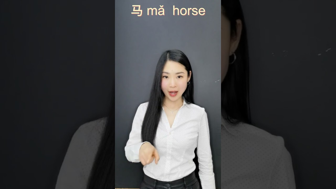 The Chinese Zodiac Animals Learn Chinese in 1 minute