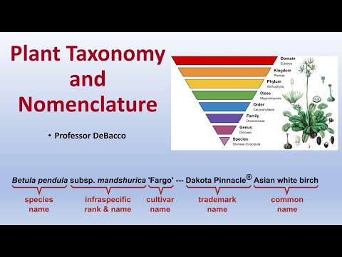 Plant Taxonomy and Nomenclature