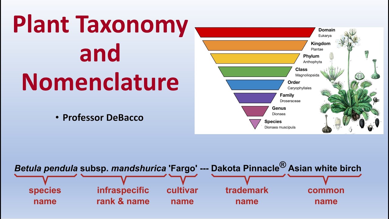 Plant Taxonomy and Nomenclature