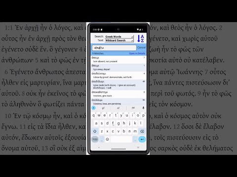 The Search screen of the Greek New Testament Study App
