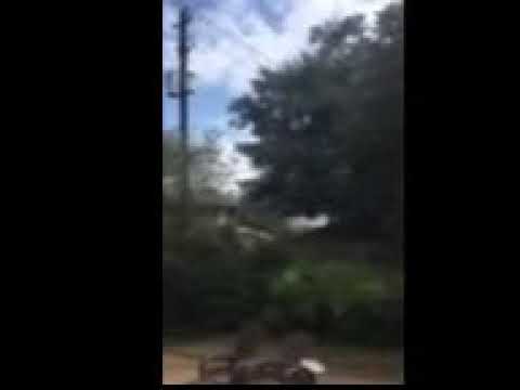 Same horn honking Directed at Sarah Degeyter stalking witness Jason Foust (Rape involvement) HPD FBI