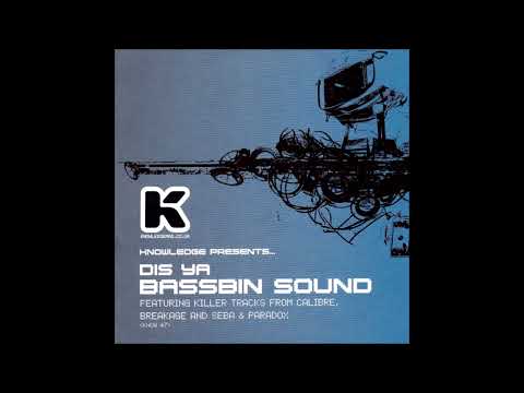 Rohan - Dis Ya Bassbin - Knowledge Magazine - 2004