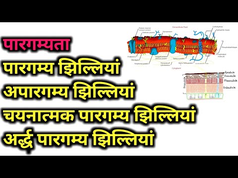 Permeability in Hindi | class 11, 12 botany in hindi