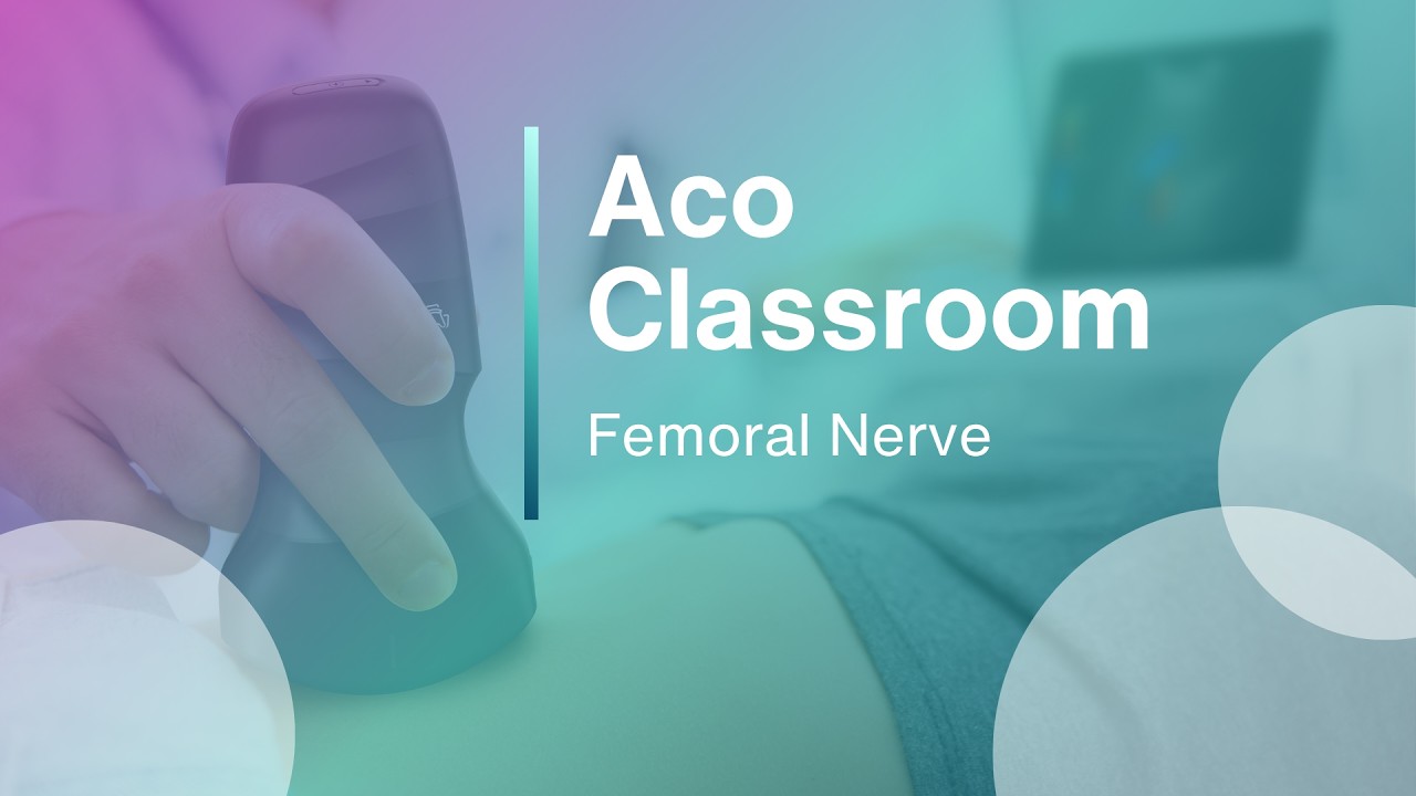 Femoral Nerve | Aco Classroom