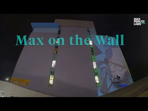 Max on the Wall