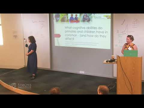 Empowerment Gain as Causal Learning