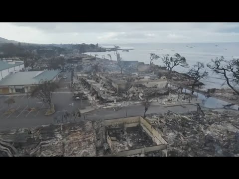 Maui wildfires: Cajun Navy helping with search and relief efforts | NewsNation Live