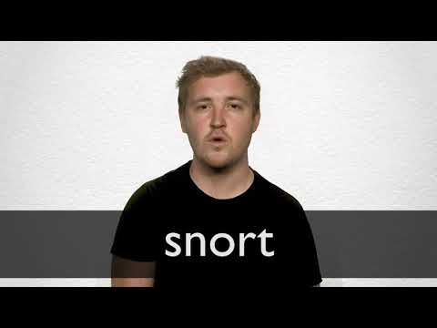 SNORT definition in American English | Collins English Dictionary